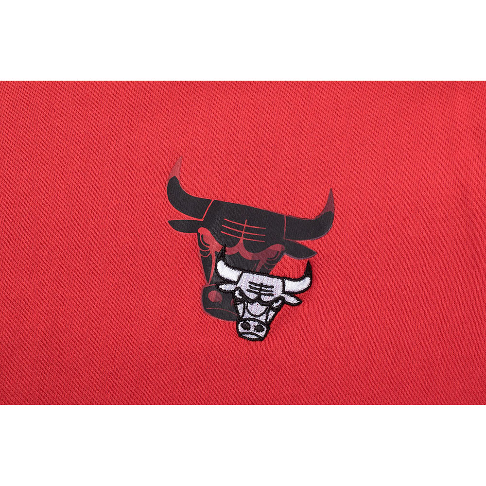 Polo con capucha Varon BA NBA Chicago Bulls FEXPRO (NBATS525103-RD1 ...